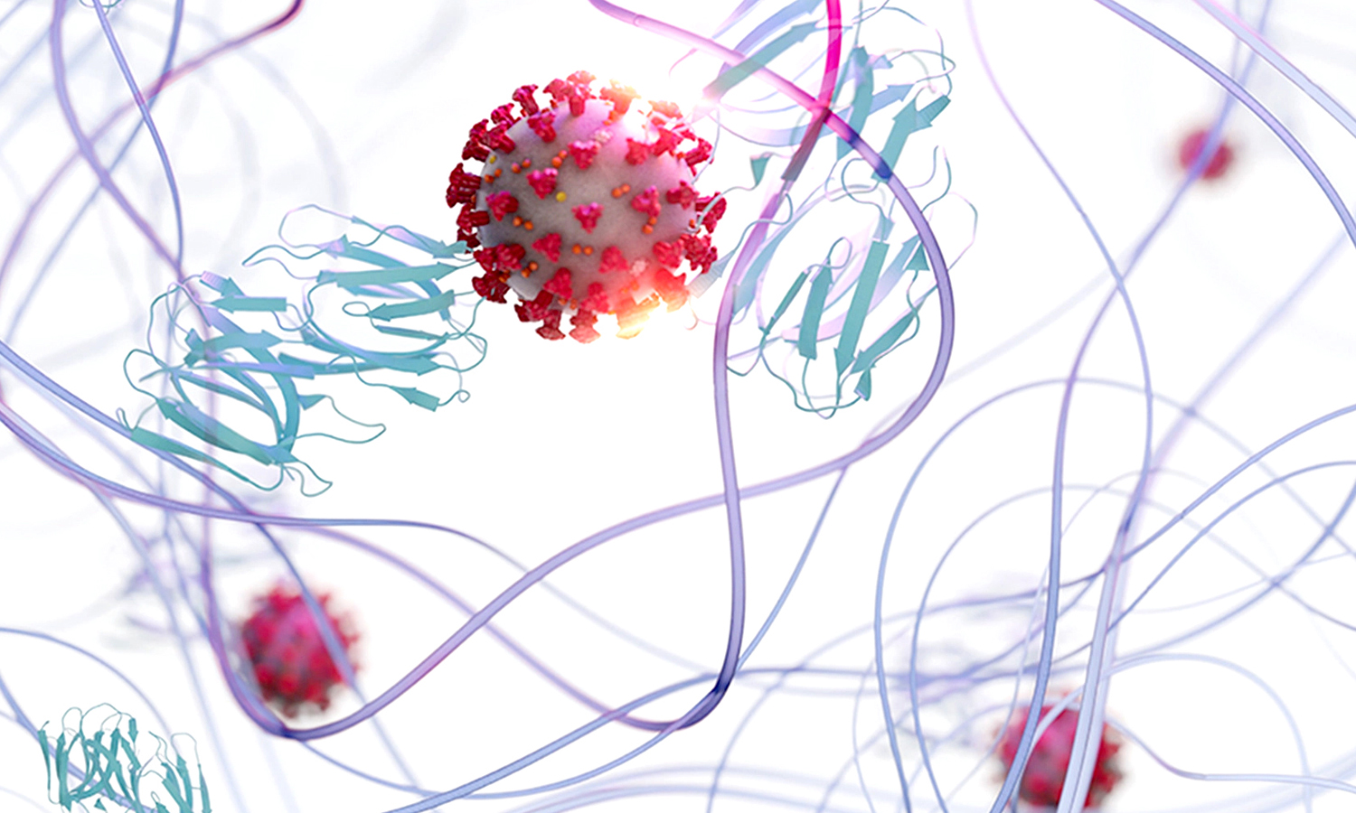 Study on Infection Detection Strategies – Bilkent News